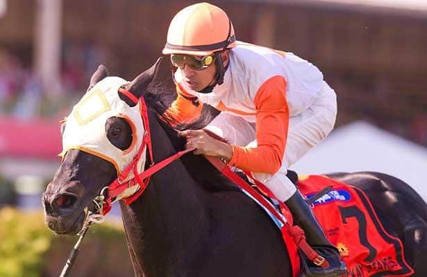 Jim McKay's Maryland Million Day: More Than Ben's Cat