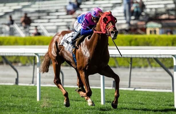 Santa Anita: 1st time down hill is a winner for Brickyard Ride
