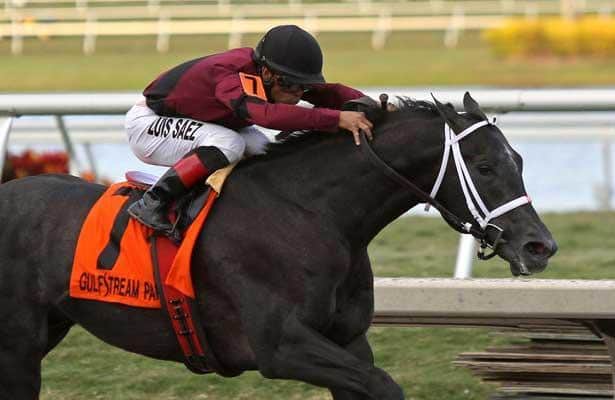 Dosage and the Kentucky Derby