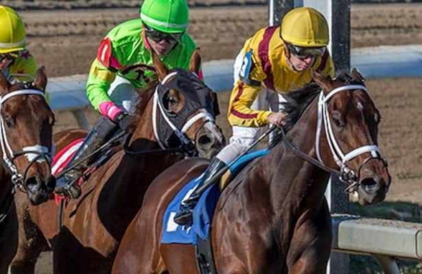 'Very fast' Corona Bolt leads Cox trio in Southwest