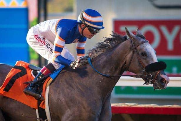 Unbeaten Enola Gray lives up to hype in Fleet Treat