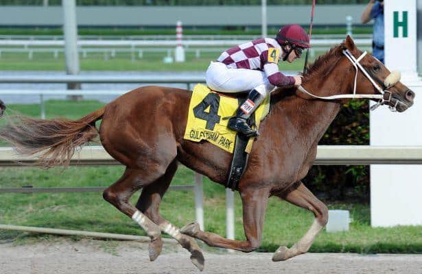 Flora Dora Makes Most of Opportunity in My Dear Girl