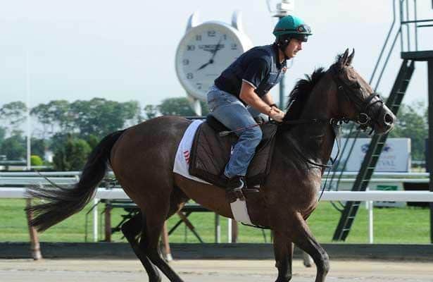 Weld Prepares Flying Jib for Belmont Oaks