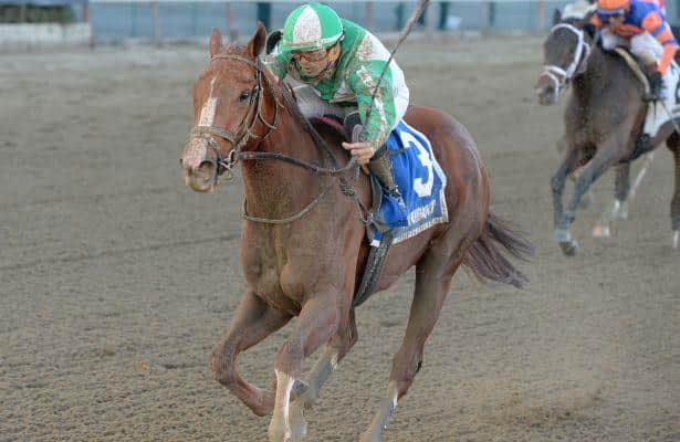 Highway Star tries to get back on winning track in Heavenly Prize