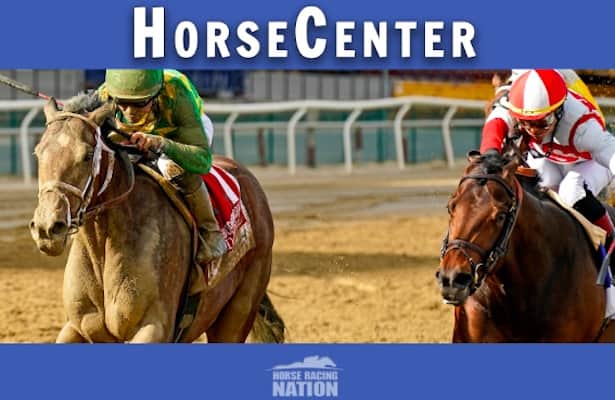 HorseCenter: Belmont Stakes 2022 top picks and plays