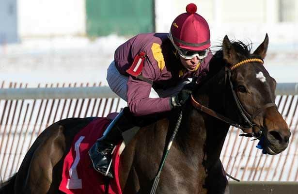 Ilikecandy Gallops in MD Racing Media