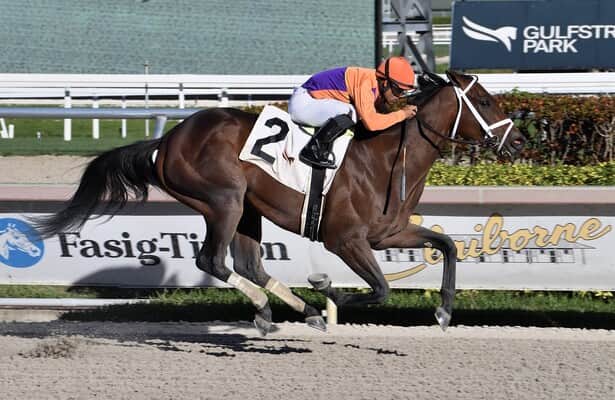 Saturday plays: Kingsbarns owns right style for Louisiana Derby