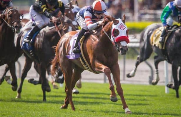 Marckie's Water Explodes to Snow Chief Victory