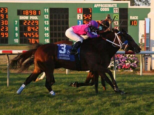 String King Ready for Dixie Poker Ace