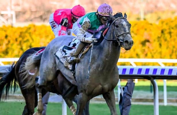 Free 2019 Kentucky Derby past performances now available