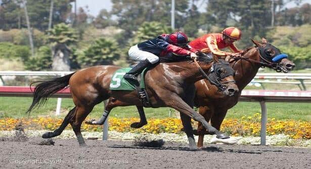 West Virginia Derby Attracts Dreamy Kid