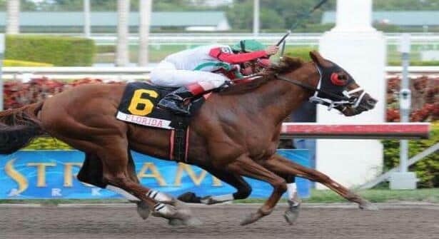 'Phil Survives Duel in Sprint
